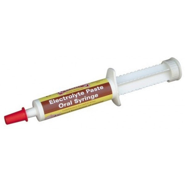 Electrolyte Paste Syringe – Castle House Saddlery